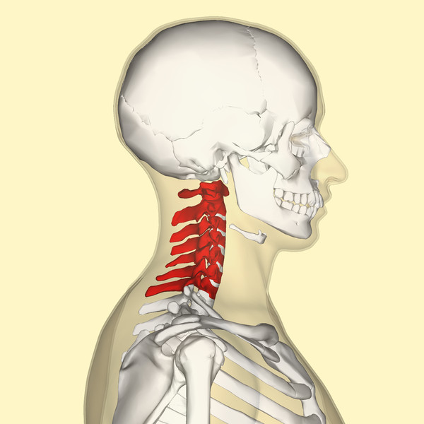 Artrosis cervical. Síntomas, causas y tratamientos de Artrosis cervical ...